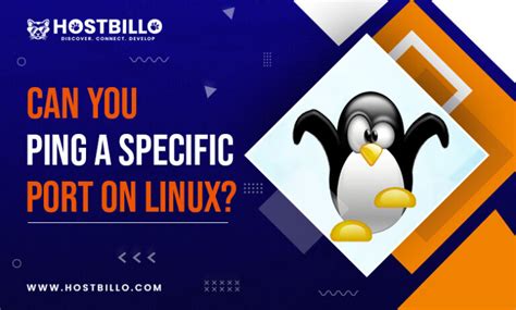 how to ping a specific port number in linux and windows hostbillo blog web hosting devops