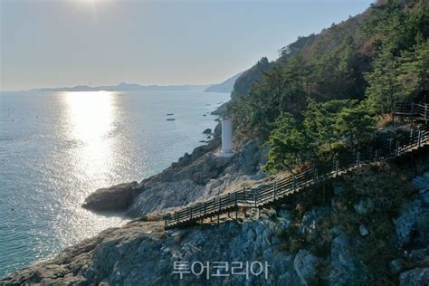 여름철 걷기 좋은 완도 약산 해안 치유의 숲피톤치드 발생량 높아 힐링