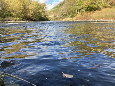 Precipitants Crisis Has Arrived At Our Rivers Our Solution Without