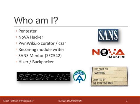 Iis Tilde Enumeration Vulnerability Pptx Programming Languages