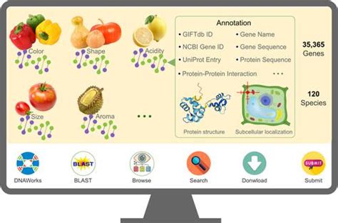 Tdb：用于改善植物果实性状的有用基因数据库the Plant Journal X Mol