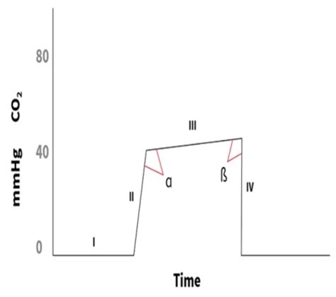 Capnography Know Your Waveforms 🔪 Flashcards Quizlet