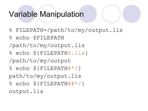unix shell scripting basics ppt