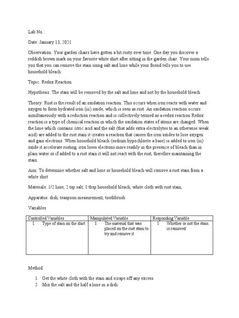 Chem Pd Lab Number 2 Pdf Redox Chemical Reactions