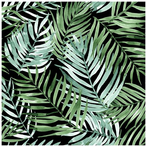 Tropical Palm Leaf Wallpaper Fresh Green Decor Haokhome