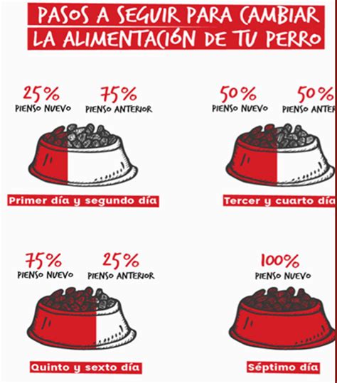 Kit Básico Para Perro Pet Depot