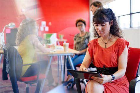 ¿cuáles Son Los Principios De Las Organizaciones 2025