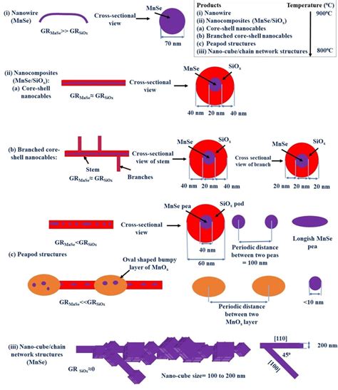 Schematic Diagram Not To Scale Of Various Mnse Nanostructures Download Scientific Diagram