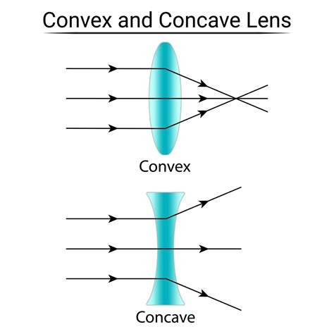 Convex And Concave Lens Refraction Of Light 25747566 Vector Art At