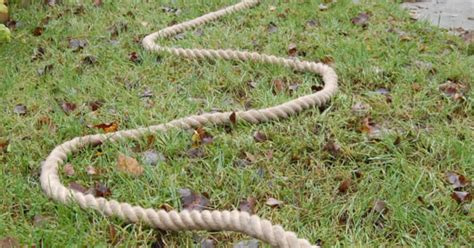 Paths Edges And Boundaries Active Boundaries Muddy Faces