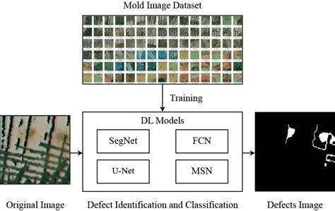 Mold Image Dataset Ieee Dataport