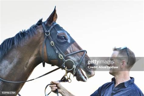 Declan Maher Photos And Premium High Res Pictures Getty Images