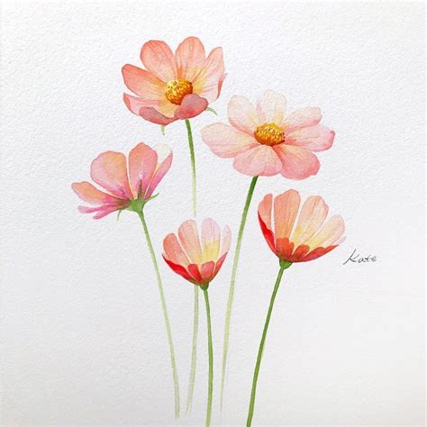 Pink Flower Drawing