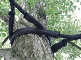 How To Cable A Tree Tree Cabling Guide Ensuring Safety And Structure For Your Trees