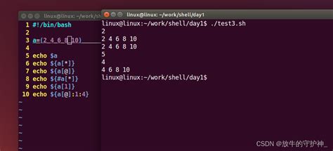 【shell脚本编程（概念、变量、语句）】 shell脚本字符和变量 csdn博客