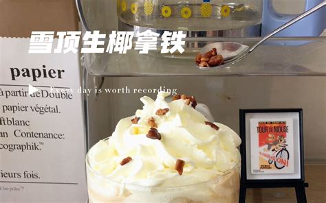 自制饮品咖啡 雪顶生椰拿铁 秋日系列 哔哩哔哩