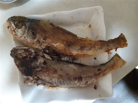 굴비가 조기보다 맛있네요 뉴스트림