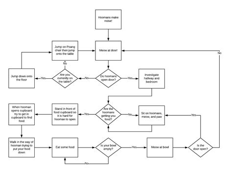 Flowchart Daily Routine