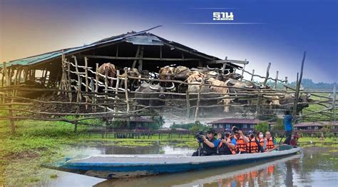 Fao ประกาศให้การเลี้ยงควายปลักทะเลน้อย เป็นพื้นที่มรดกโลกการเกษตร