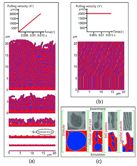 Ca Simulations Of Ni Sn Anomalous Eutectic Growth Under Various Cooling