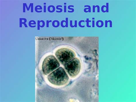 Ppt Meiosis And Reproduction Types Of Reproduction Asexual Reproduction Production Of