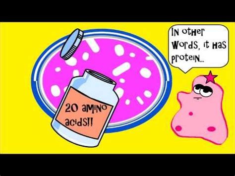 Best Macromolecules Images On Pinterest Teaching Biology Ap Biology And Biology Lessons