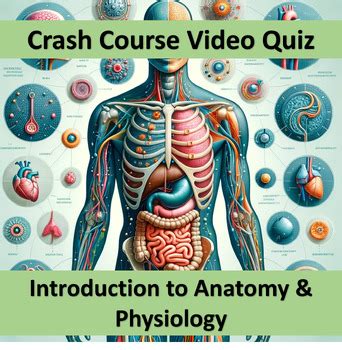Crash Course Video Quiz Introduction To A P NO PREP Google Forms A P