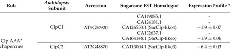 Expression Profiles Of Sugarcane Clp Protease System Subunit Homologs Download Table