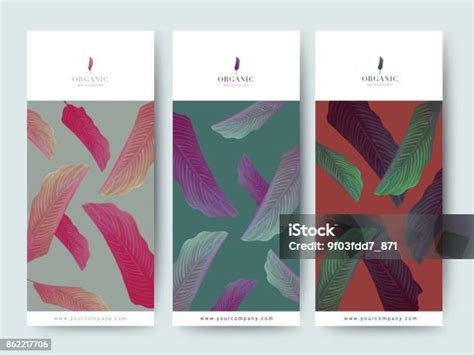 포장 열 대 식물 잎 여름 패턴 배경 스파 리조트 럭셔리 호텔 로고 배너 바우처 직물 패턴 유기에 대 한 브랜딩 벡터 일러스트 레이 션 0명에 대한 스톡 벡터 아트 및 기타