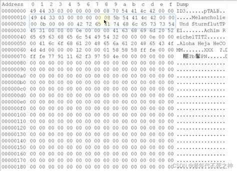 深入剖析java字节码 Csdn博客