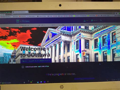 Computer Glitch Catches My Current Feelings R Geegees