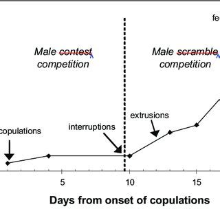 Changes In The Operational Sex Ratio OSR And The Onset Of Download Scientific Diagram