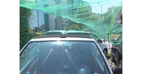 Погром в столичните автокъщи след градушката