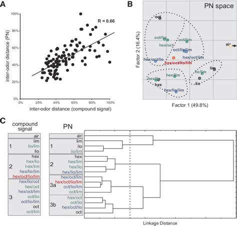 Coarse Odor Classification Is Conserved From Al Input To Output A The Download Scientific