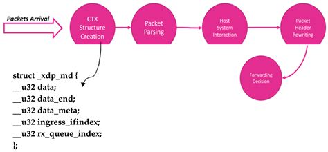 Retracted Express Data Processing On Fpga Network Interface Cards For