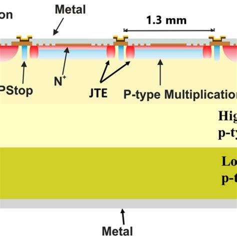 cross section of a sensor with 2 × 2 array of pads and 50 µm active