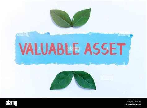 Sign Displaying Valuable Assetyour Most Valuable Asset Is Your Ability Or Capacity Conceptual