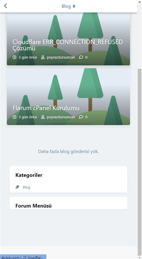 Error Displaying Tags On Mobile Devices · Issue 108 · V17development