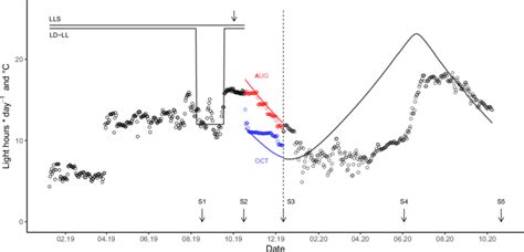 Light Solid Lines And Temperature Dotted Lines Conditions Download Scientific Diagram