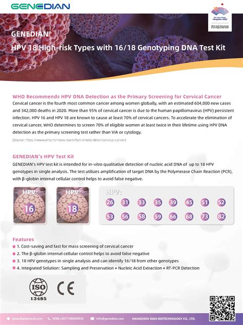 Hpv 18 High Risk Types With 16 18 Genotyping Dna Test Kit High Quality Hpv 18 High Risk Types