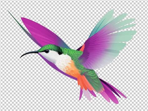 Premium Psd Humming Bird Vector Illustration