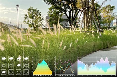 밝은 일몰 황혼하늘과 야외 공원 배경의 아름다운 환경과 기상 예보에 대한 그래프와 차트와 일기 예보 기호 데이터 프리젠 테이션 0명에 대한 스톡 사진 및 기타 이미지