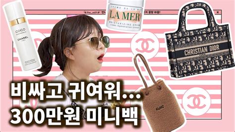 디올 미니백 샀어요 구경하면 신나는 쇼핑템 하울🎉 Youtube