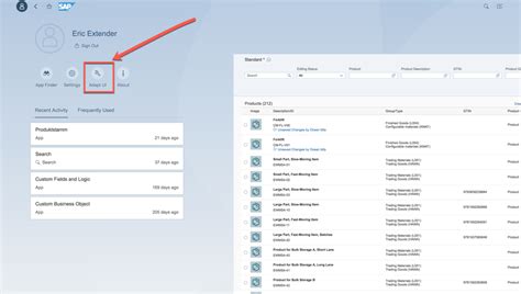 Fiori For S 4hana Adapting Terminology In Sap Fi Sap Community