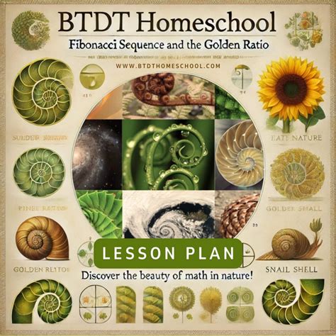 Free Unit Study The Fibonacci Sequence Lesson Plan Free Unit Study The Fibonacci Sequence Lesson Plan