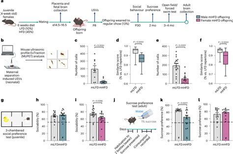 Maternal High Fat Diet Imparts Sex Specific Offspring Behavioural