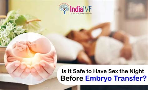 Sex The Night Before Embryo Transfer India IVF Fertility