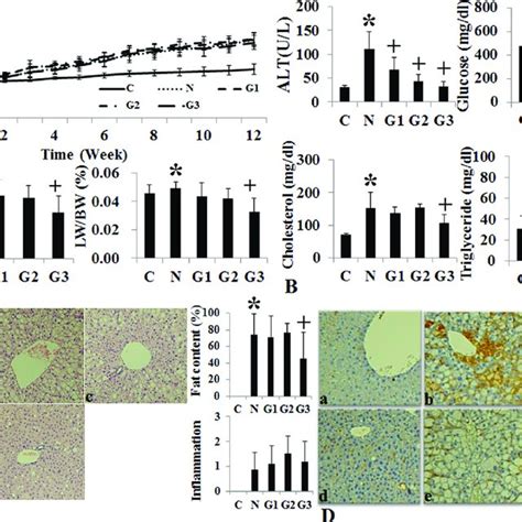G Csfr And Gm Csfr Pcr Expression In Various Liver Disease Models Download Scientific Diagram