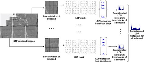 Ldp Histogram Calculation From Spt Sub Band Images Download Scientific Diagram
