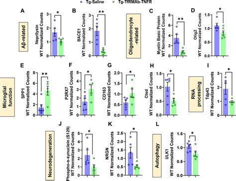 Nanostring Geomx Spatial Proteomics Comparing Hippocampal Protein Download Scientific Diagram